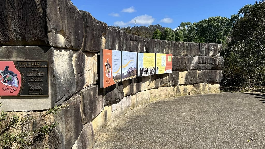 The Gully - katoomba