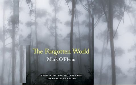 The Forgotten World - katoomba